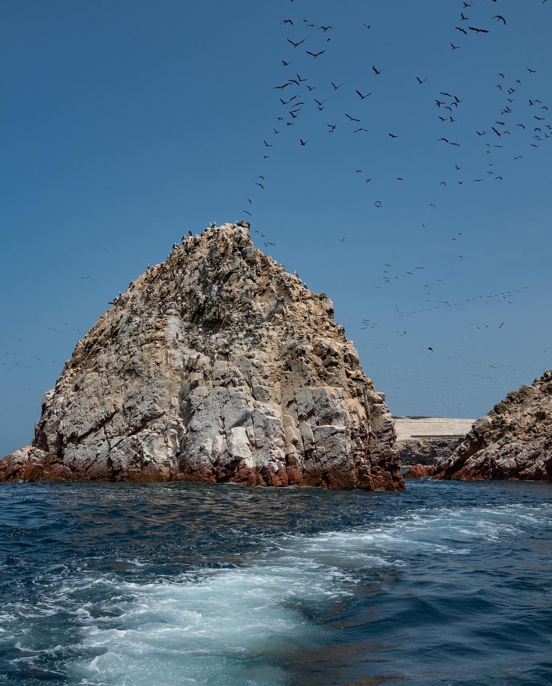 ¡Conozca Islas Ballestas en Perú!| - Blog Viagens Machu Picchu