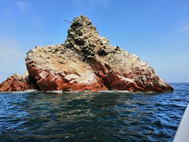 Las Islas Ballestas: Una aventura en el Pacífico Peruano - Blog Viagens ...