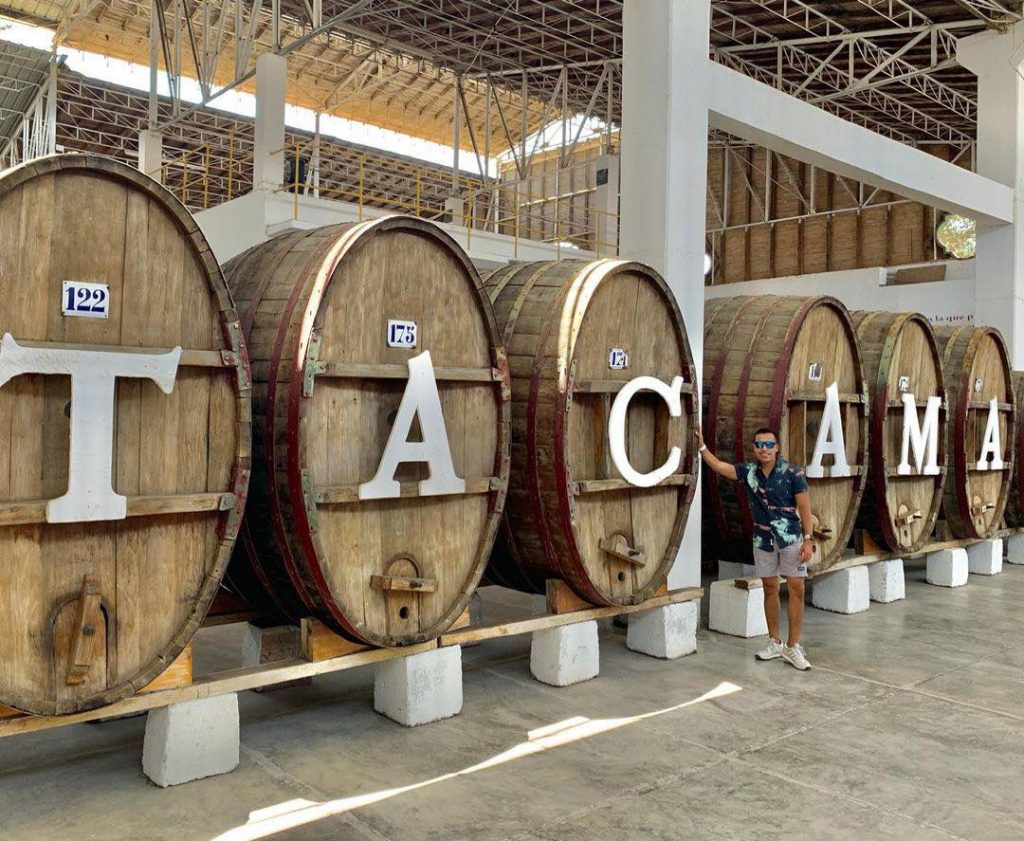 Ruta por los viñedos de Pisco en Ica - Blog Viagens Machu Picchu
