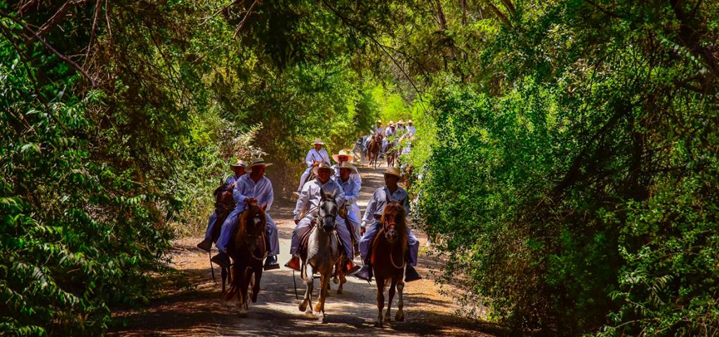 Descubre el Bosque de Pómac y su historia arqueológica - Blog Viagens ...