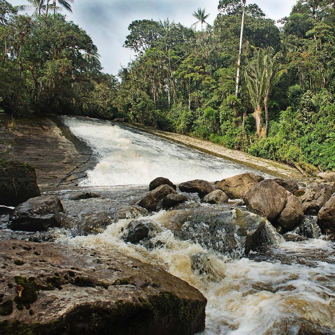 Los Bosques en Perú: La Energía de la Naturaleza - Blog Viagens Machu ...