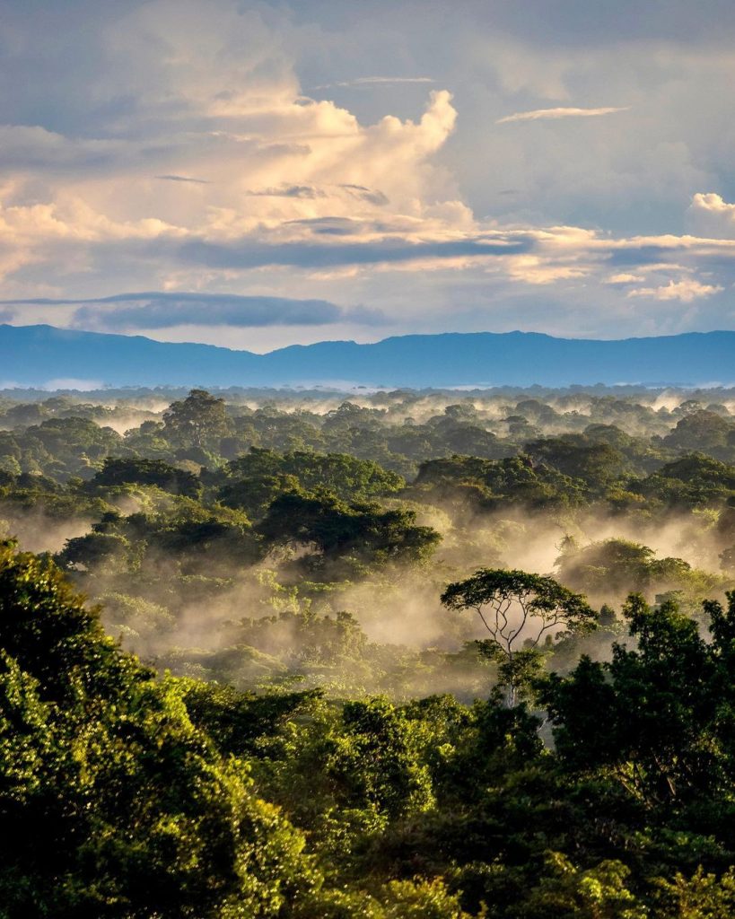 Selva Peruana: Ecoturismo y Excursiones - Blog Viagens Machu Picchu