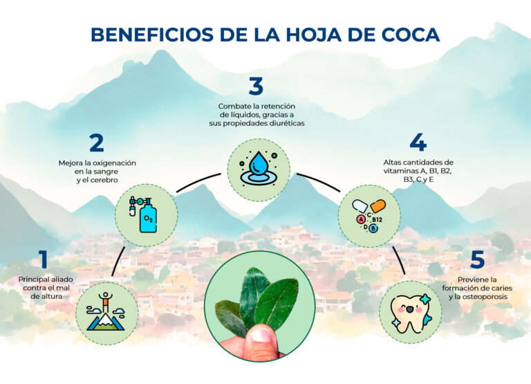 Beneficios de la hoja de coca | Viagens Machu Picchu