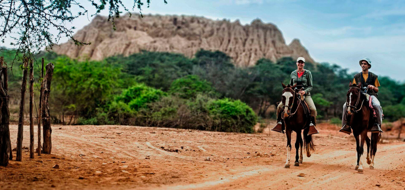 Bosque de Pómac: Conoce más sobre este Santuario Histórico