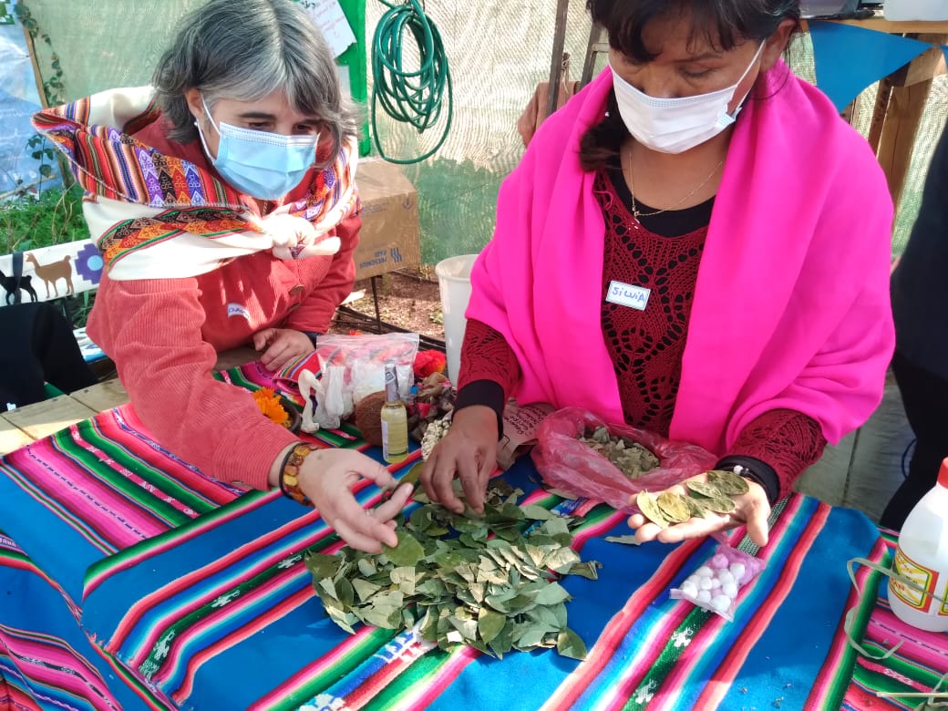 Medicina Tradicional Andina: Guía completa
