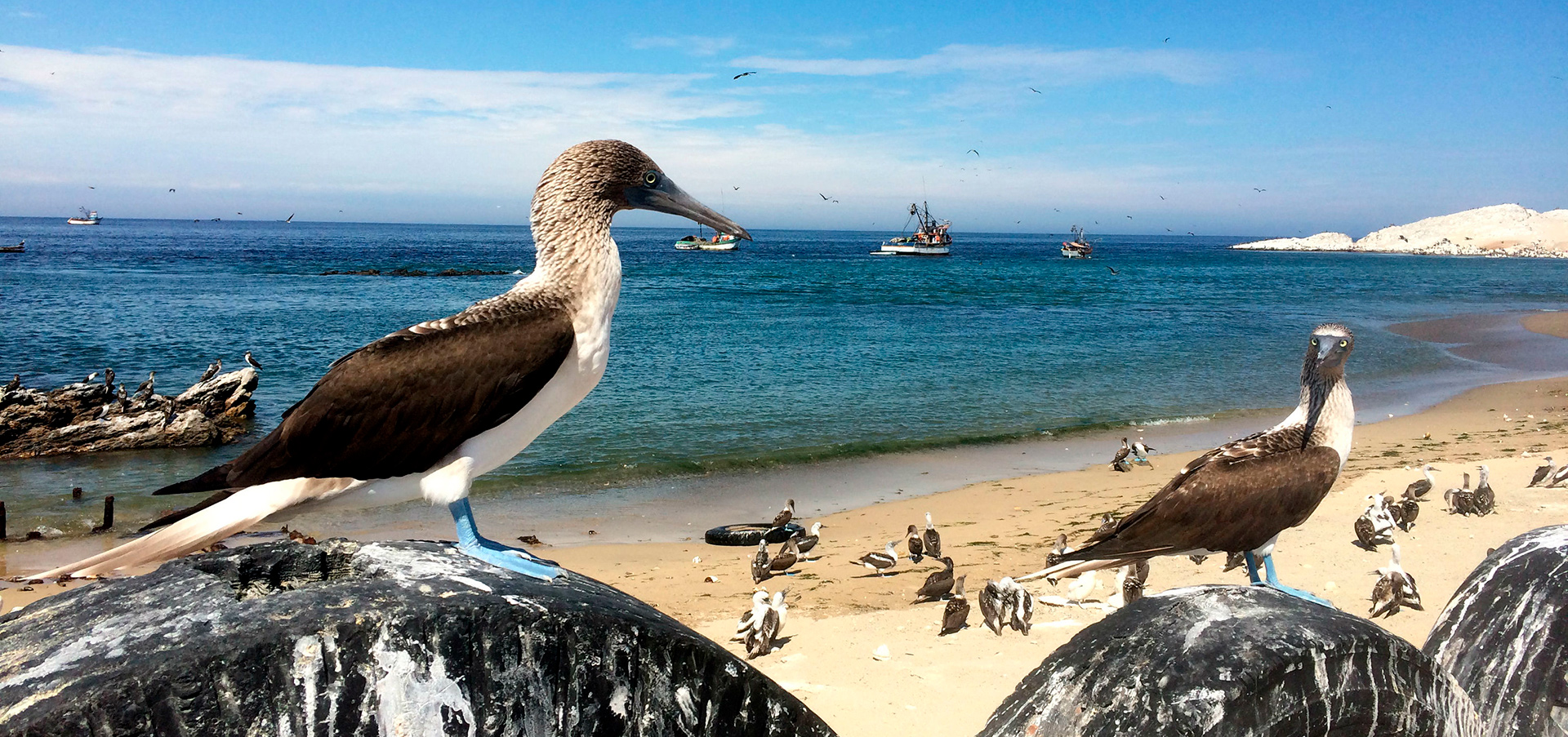Top 5: Explora las Islas más Visitadas del Perú
