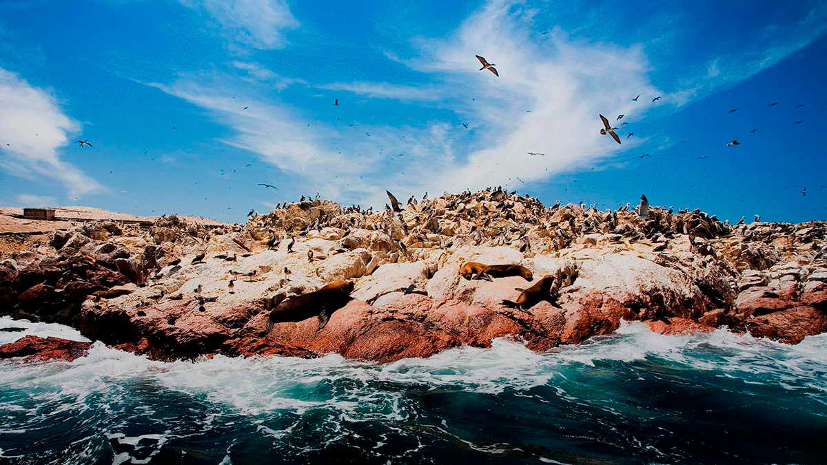 Top 5: Explora las Islas más Visitadas del Perú