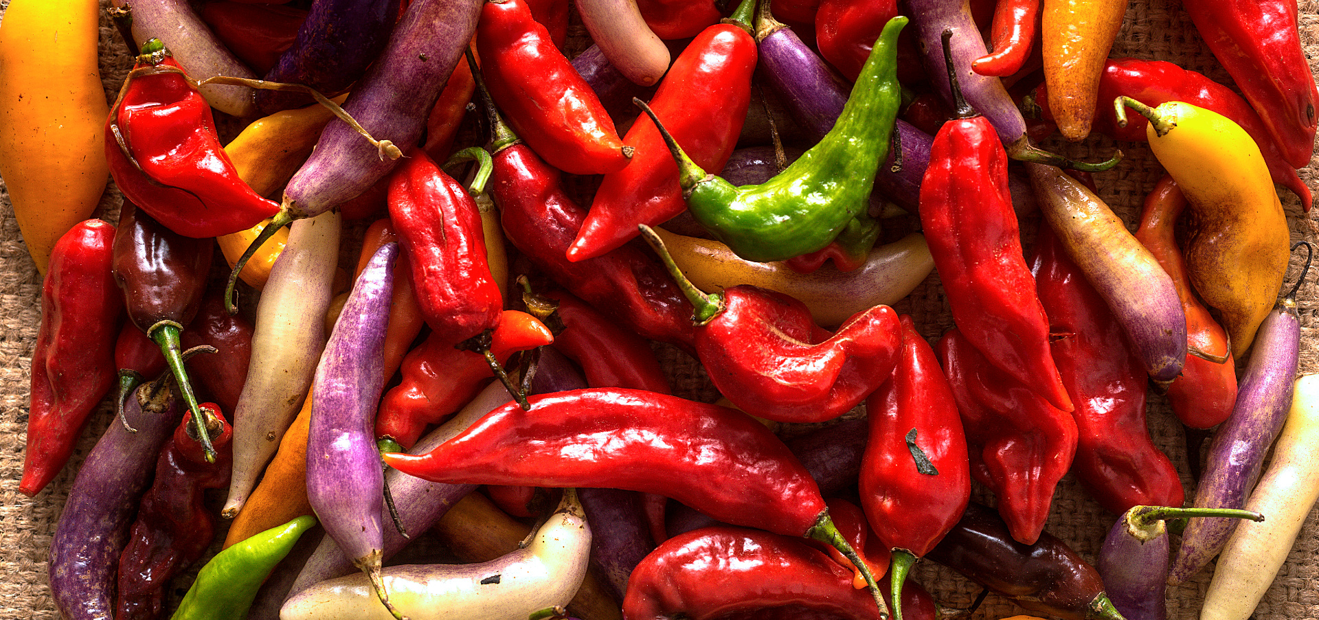 Ajíes Peruanos: Variedades, Usos y Legado Culinario