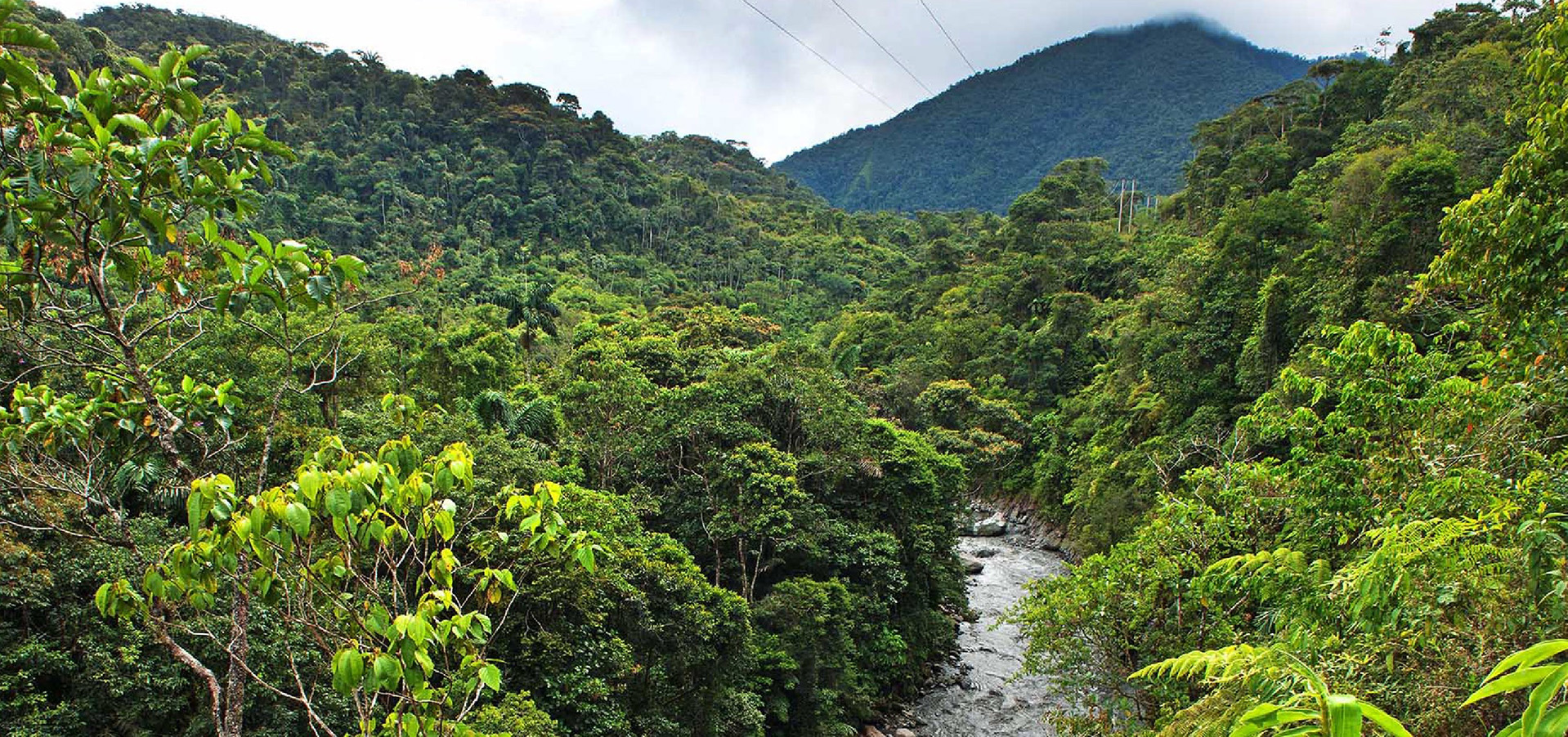 Travesías Fotográficas por la Ceja de Selva Peruana