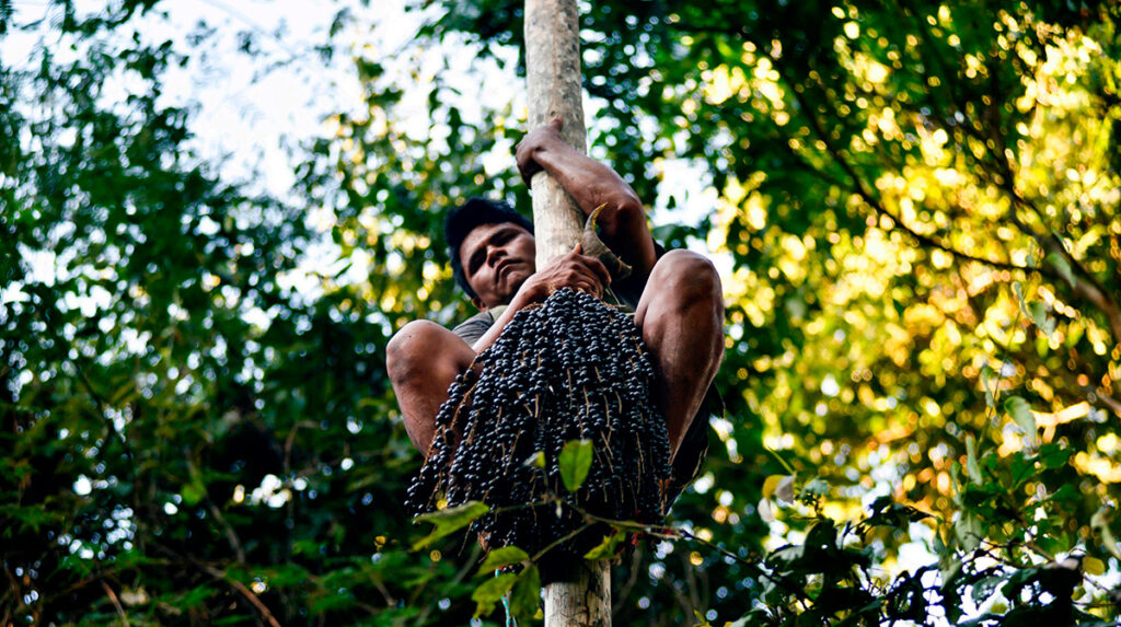 Alto Purús: Descubre el Gran Refugio de la Amazonía Peruana