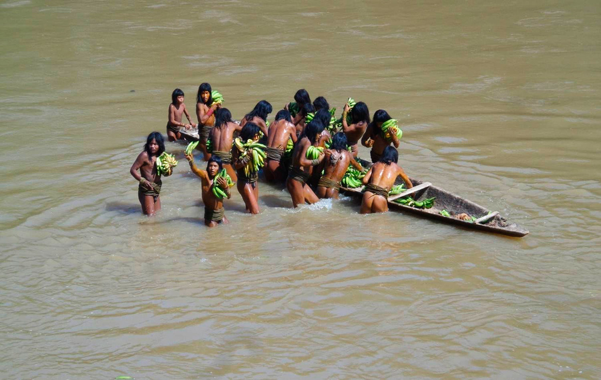 Alto Purús: Descubre el Gran Refugio de la Amazonía Peruana